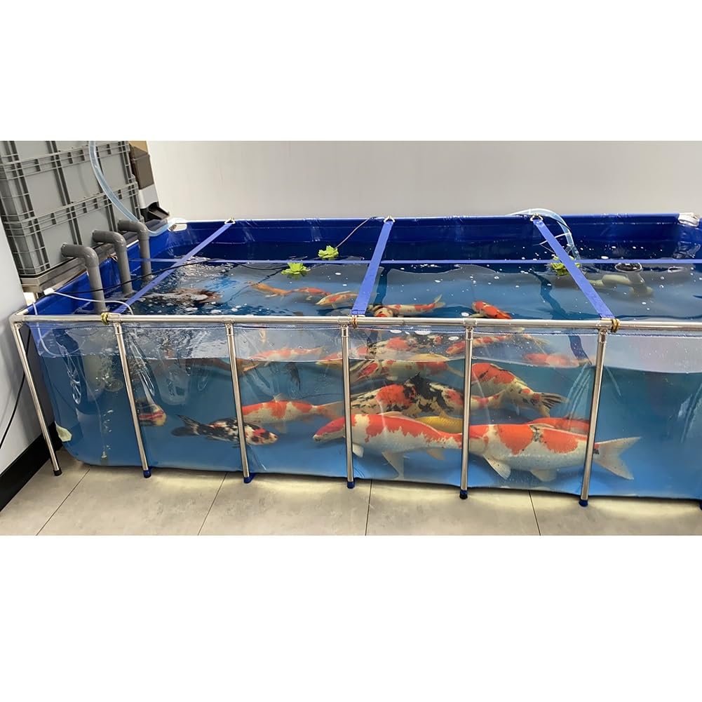 Amazon.com: Breeding Water Tank for Goldfish Display Show Tank ...