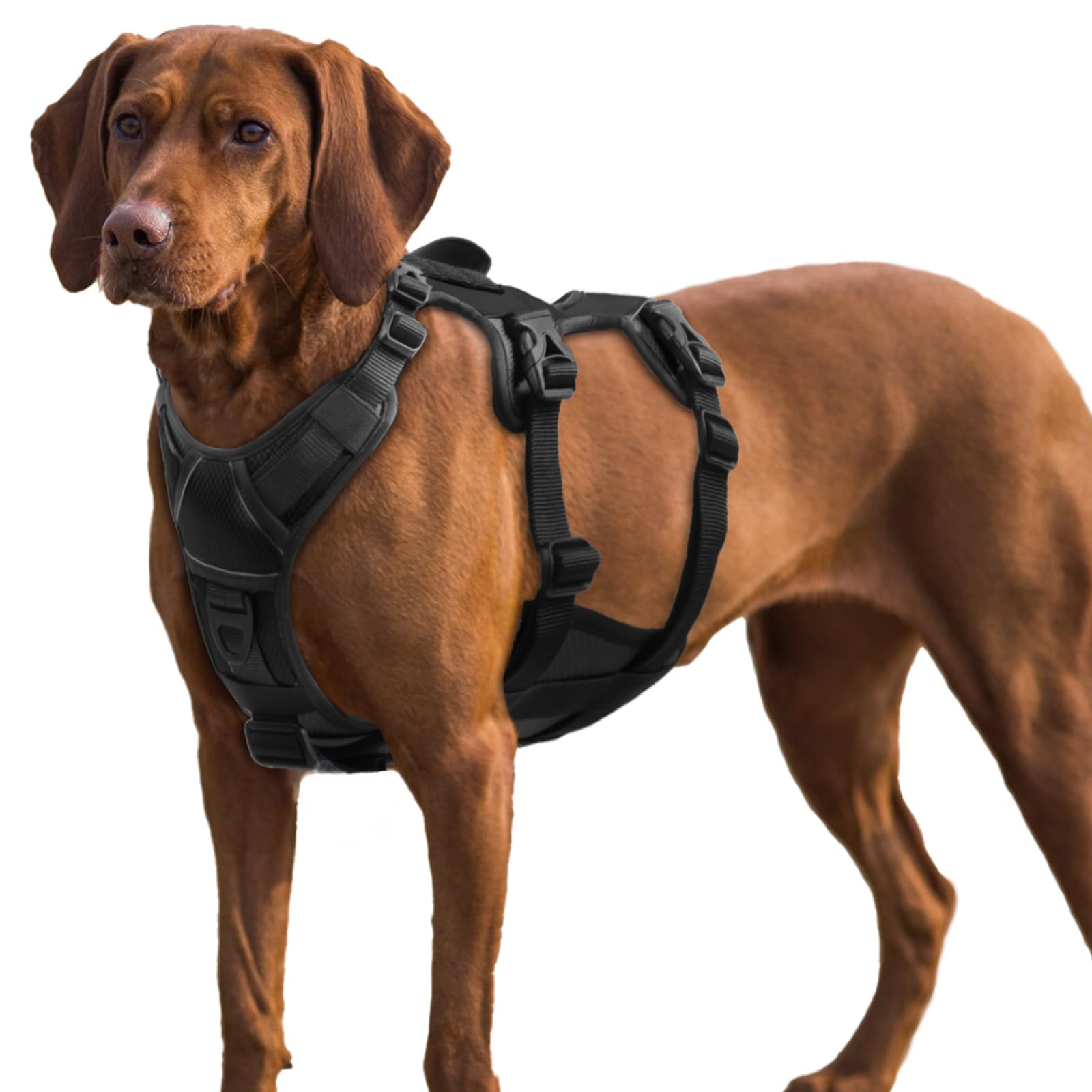 Amazon.com : AUROTH Dog Harness, Escape Proof Dog Harness for Large ...