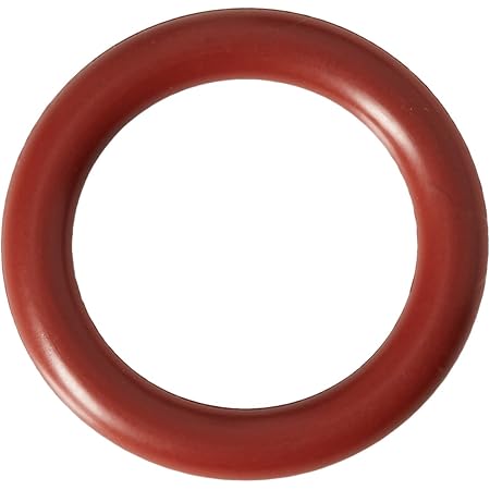 Amazon.com: Genuine Subaru 806923060 O-Ring, 1 Pack : Automotive