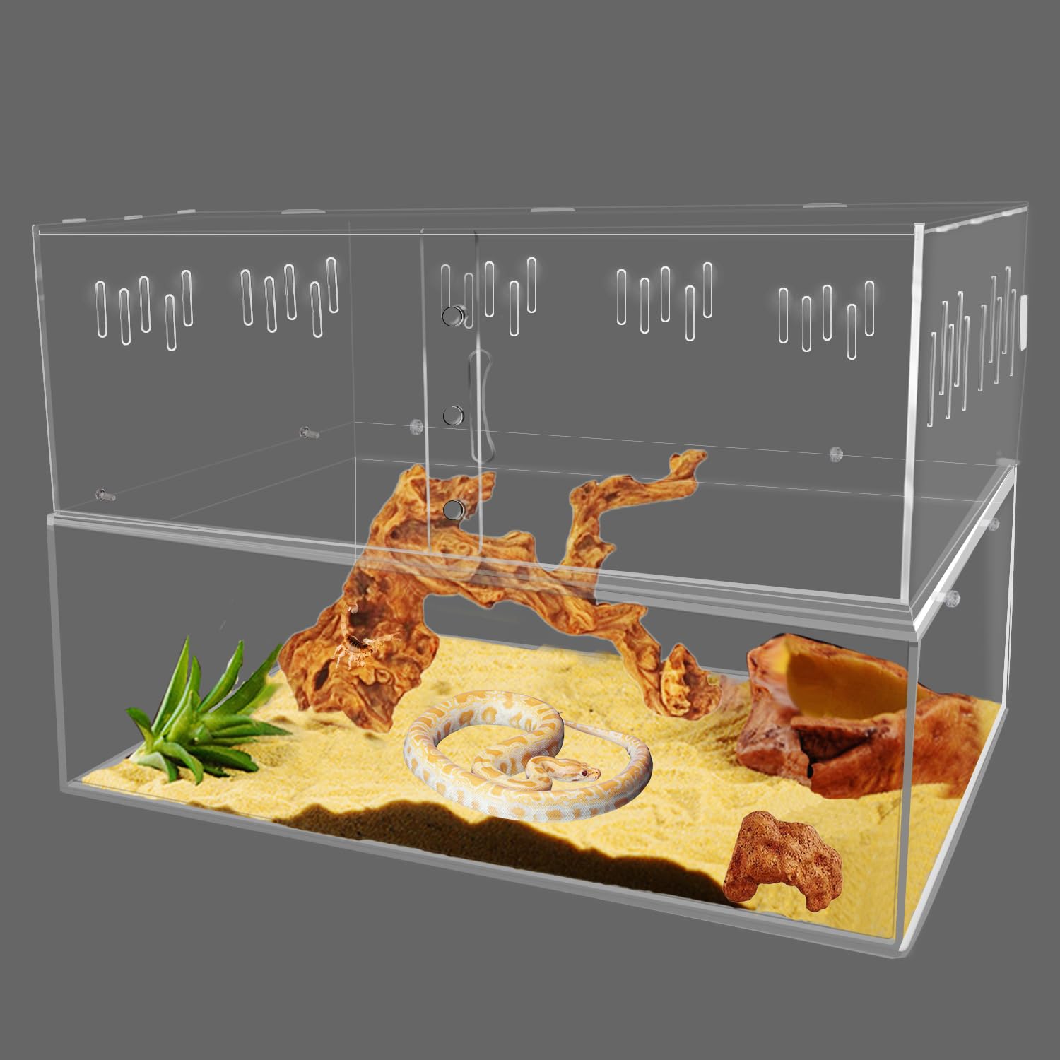 Reptile Terrarium Tank, Hermit Crab Bearded Dragon Jumping Spider ...