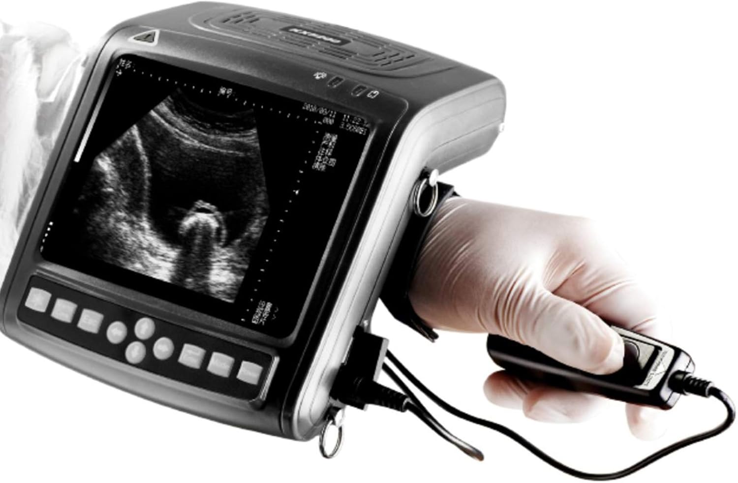 Arm Type Veterinary Ultrasound Smart Handheld Visual B-Ultrasound ...