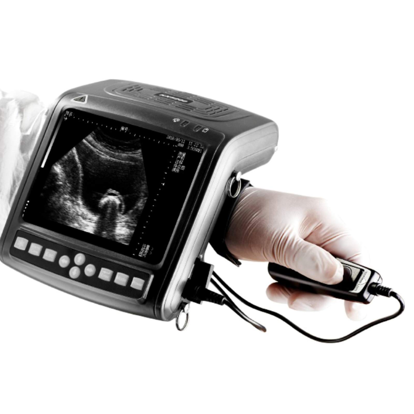 Buy LMEILI Arm Type Veterinary Ultrasound Smart Handheld Visual B ...