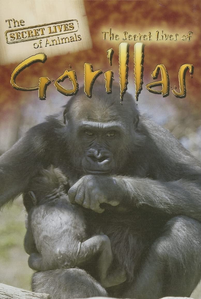 The Secret Lives of Gorillas (The Secret Lives of Animals): Barnes ...