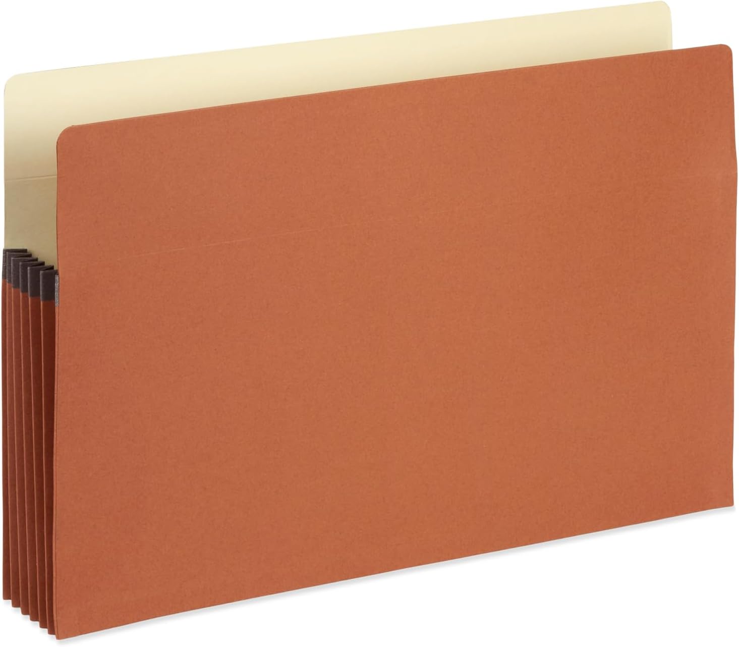 Amazon.com : Pendaflex Premium Reinforced Recycled File Pockets 5 Pack ...