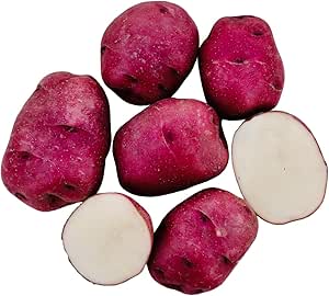 Amazon.com : Votaniki Red Norland Potato Seed - Versatile, Early ...