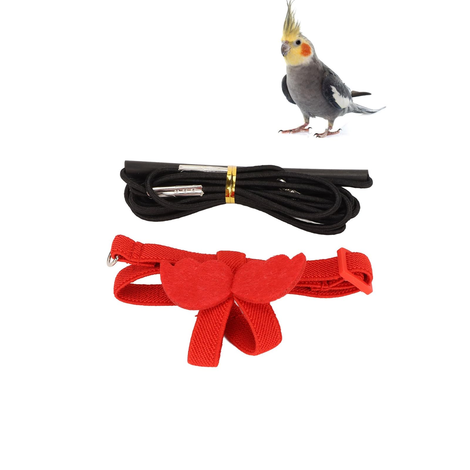 Amazon.com : Pet Bird Harness Leash, Lightweight Bird Flying Harness ...