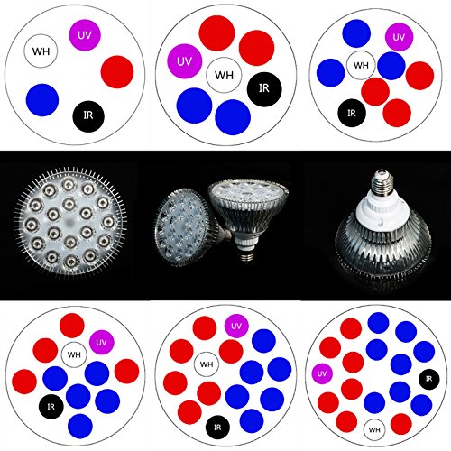 Buy Generic 9LED : Rayway Full Spectrum Red+e+IR +UV +White LED grow ...