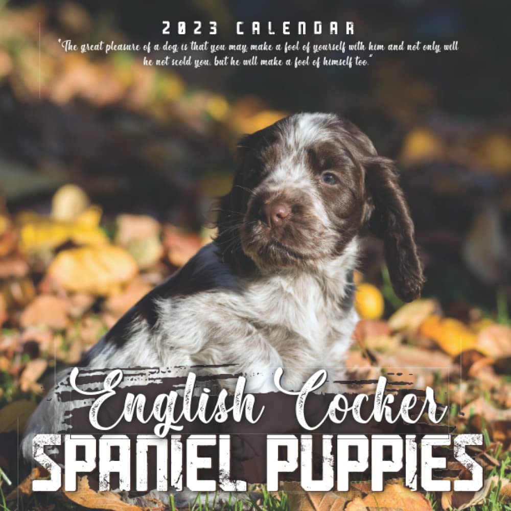 English Cocker Spaniel Puppies Calendar: Beautiful 18-month 2023 ...