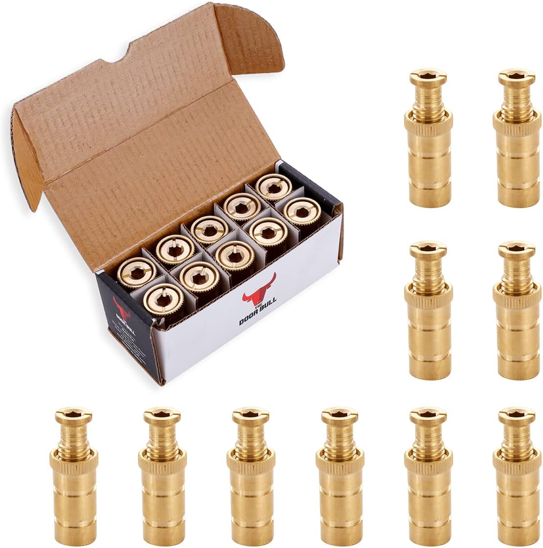 Amazon.com: 10 Pieces Brass Pool Cover Anchors Screws Pool Safety Cover ...