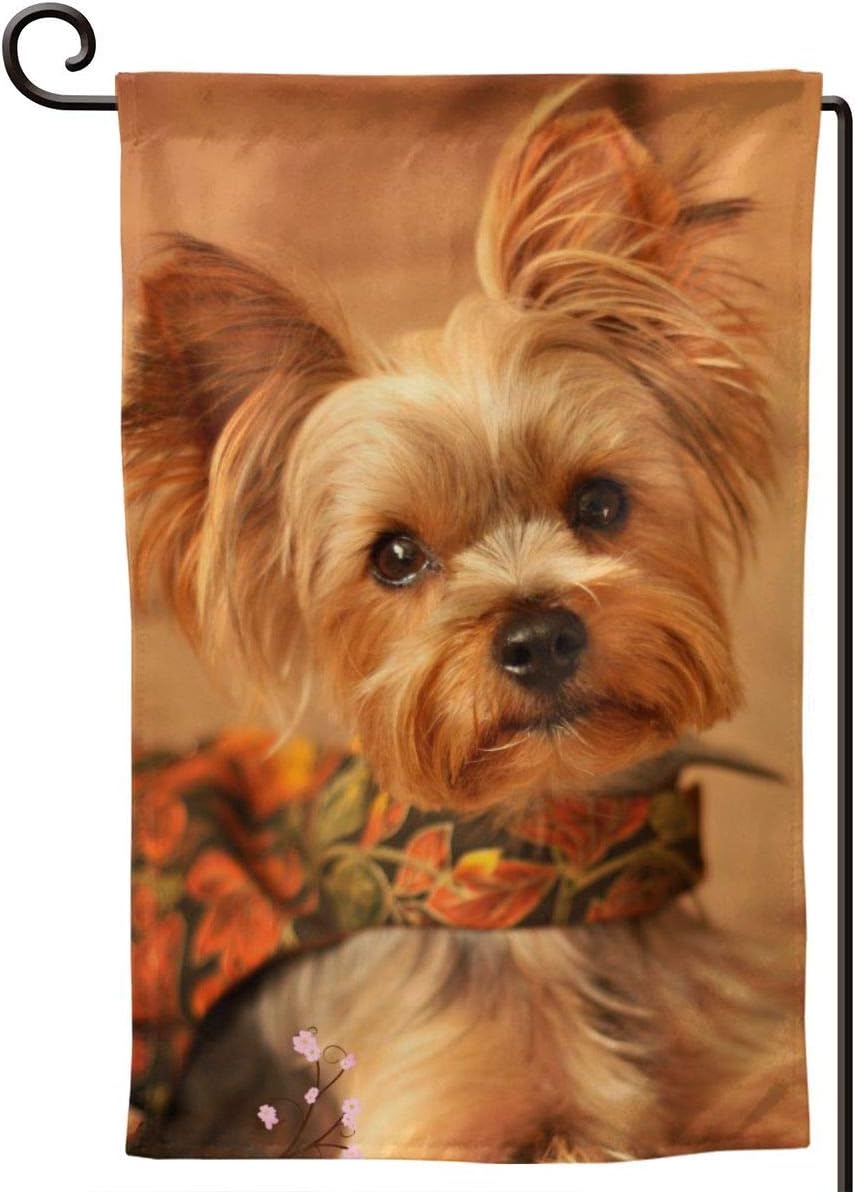 Amazon.com : Puppy Yorkie Welcome Garden Flags -Vertical Double Sided ...