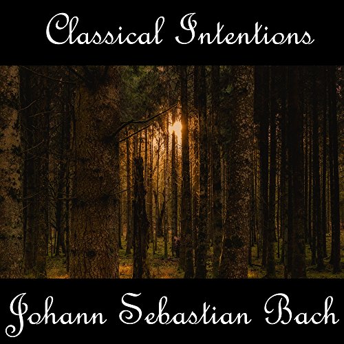 Amazon.com: Instrumental Intentions: Johann Sebastian Bach : Johann ...