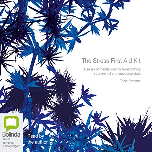 The Stress First Aid Kit: Meditations for Transforming Your Mental and ...