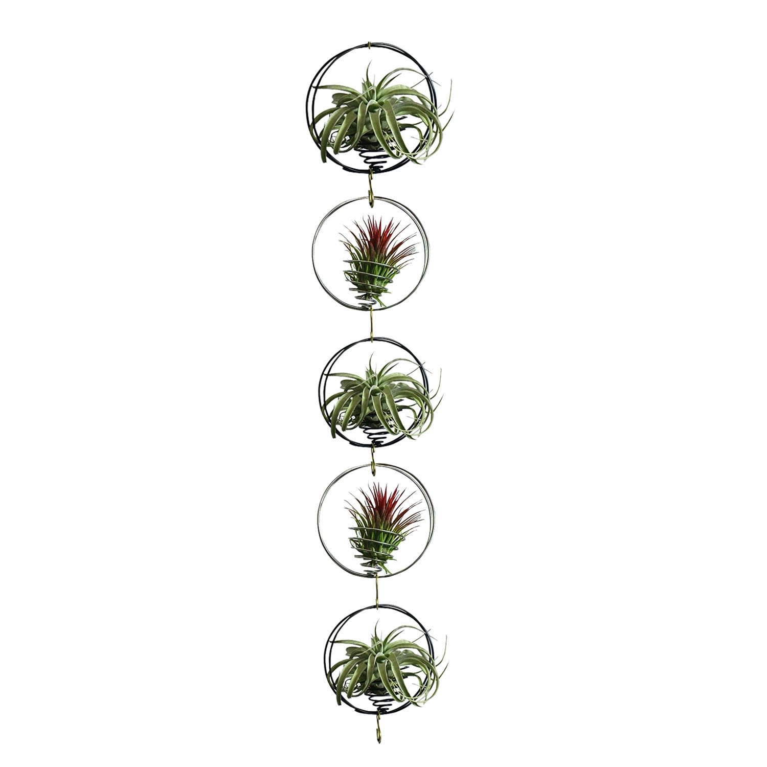 Amazon.com: SCSFCVIUS Air Plant Hanging Holder Planter - Plant Hanger ...