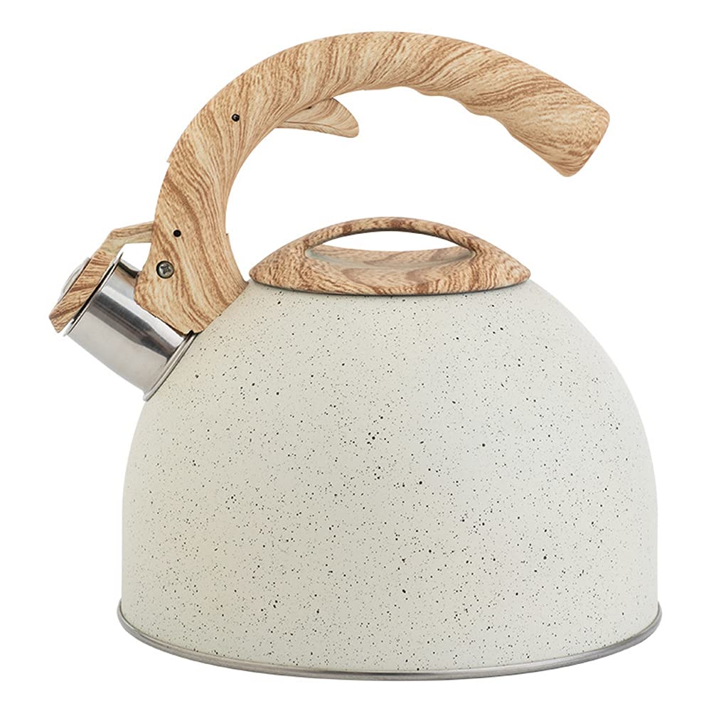 Modern Tea Kettle