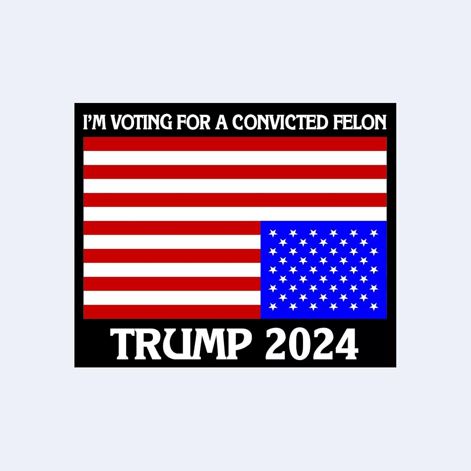 Amazon.com: Pacsci Trump Convict 45 Voting for a Convicted Felon ...