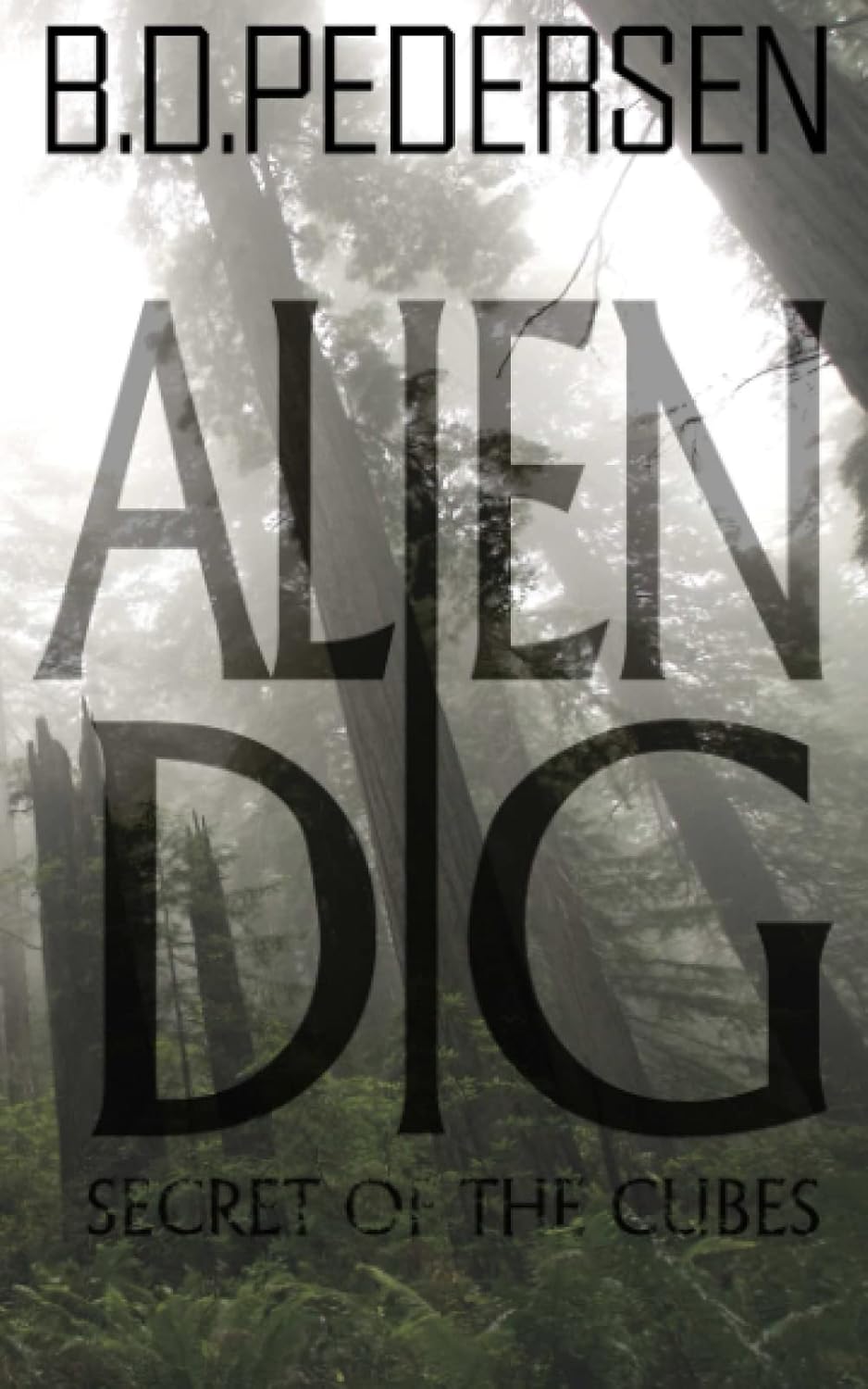 Alien Dig: Secrets of the Cubes: Pedersen, B. D.: 9780615849294: Amazon ...