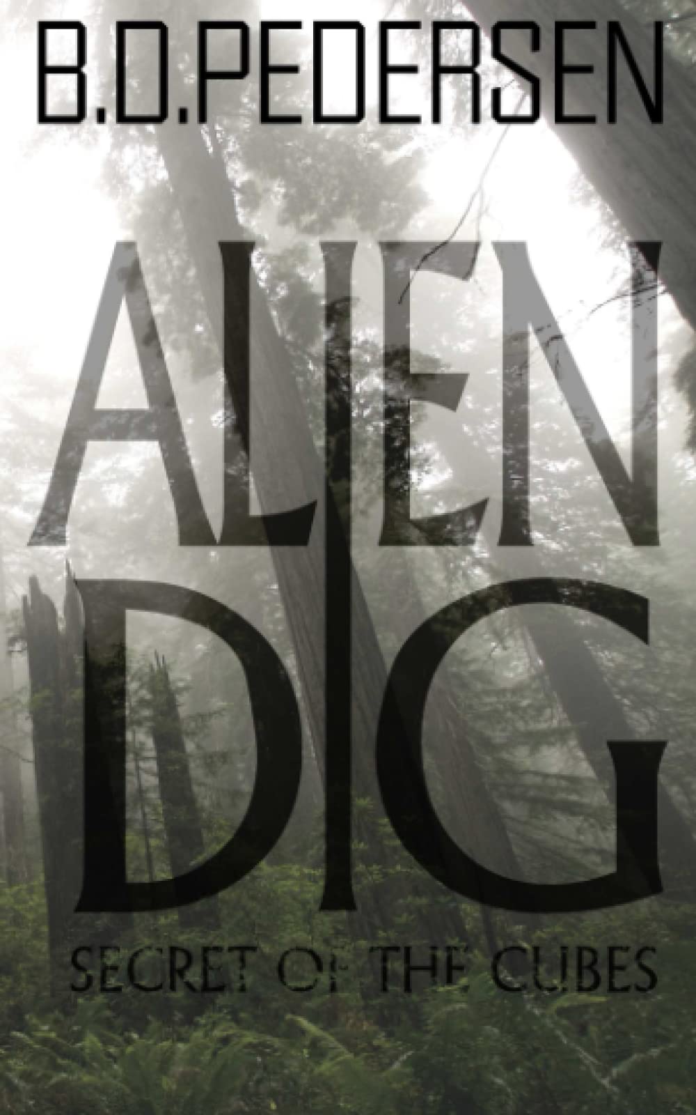 Alien Dig: Secrets of the Cubes: Pedersen, B. D.: 9780615849294: Amazon ...