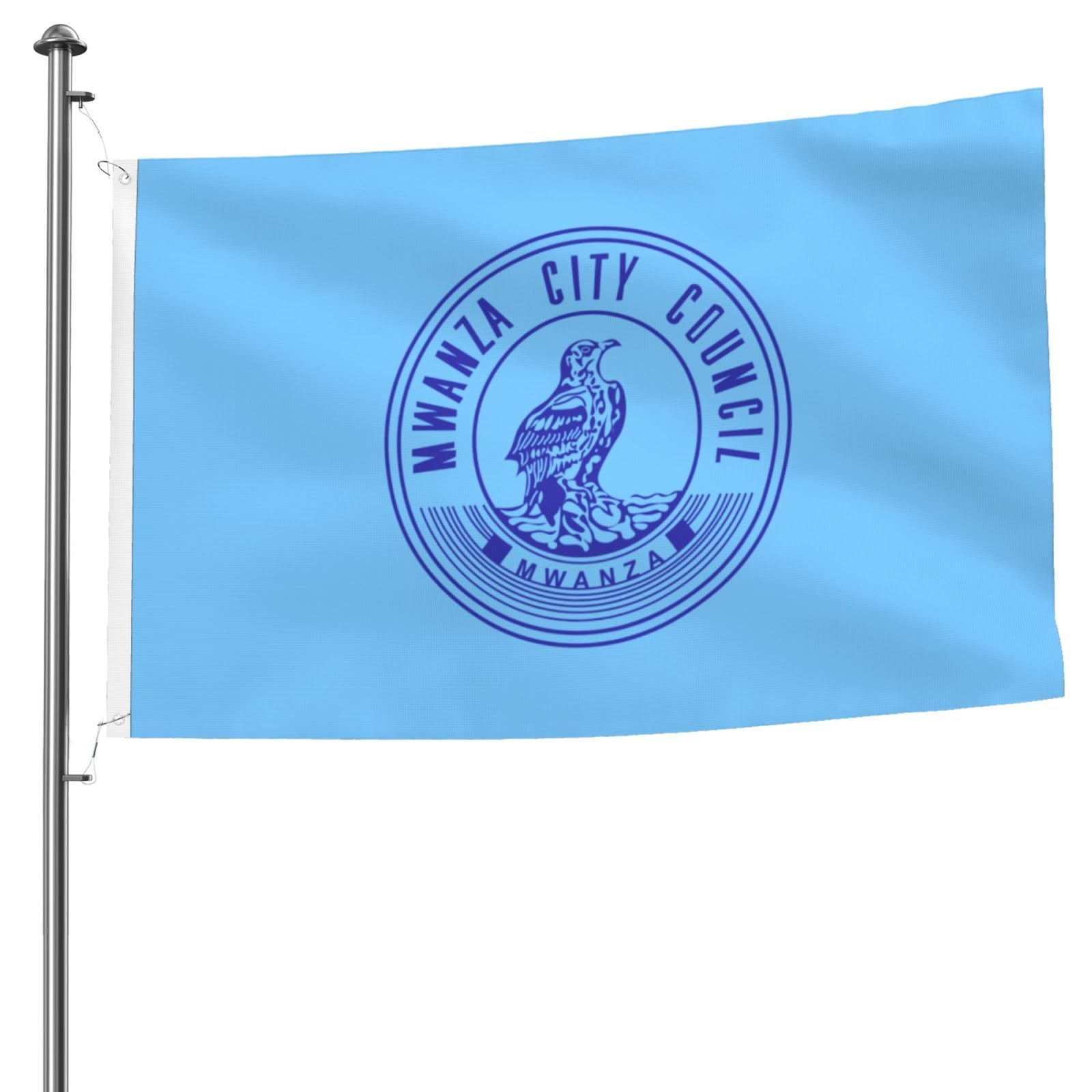 Tanzanian Political Party Flags Left And Right In South African