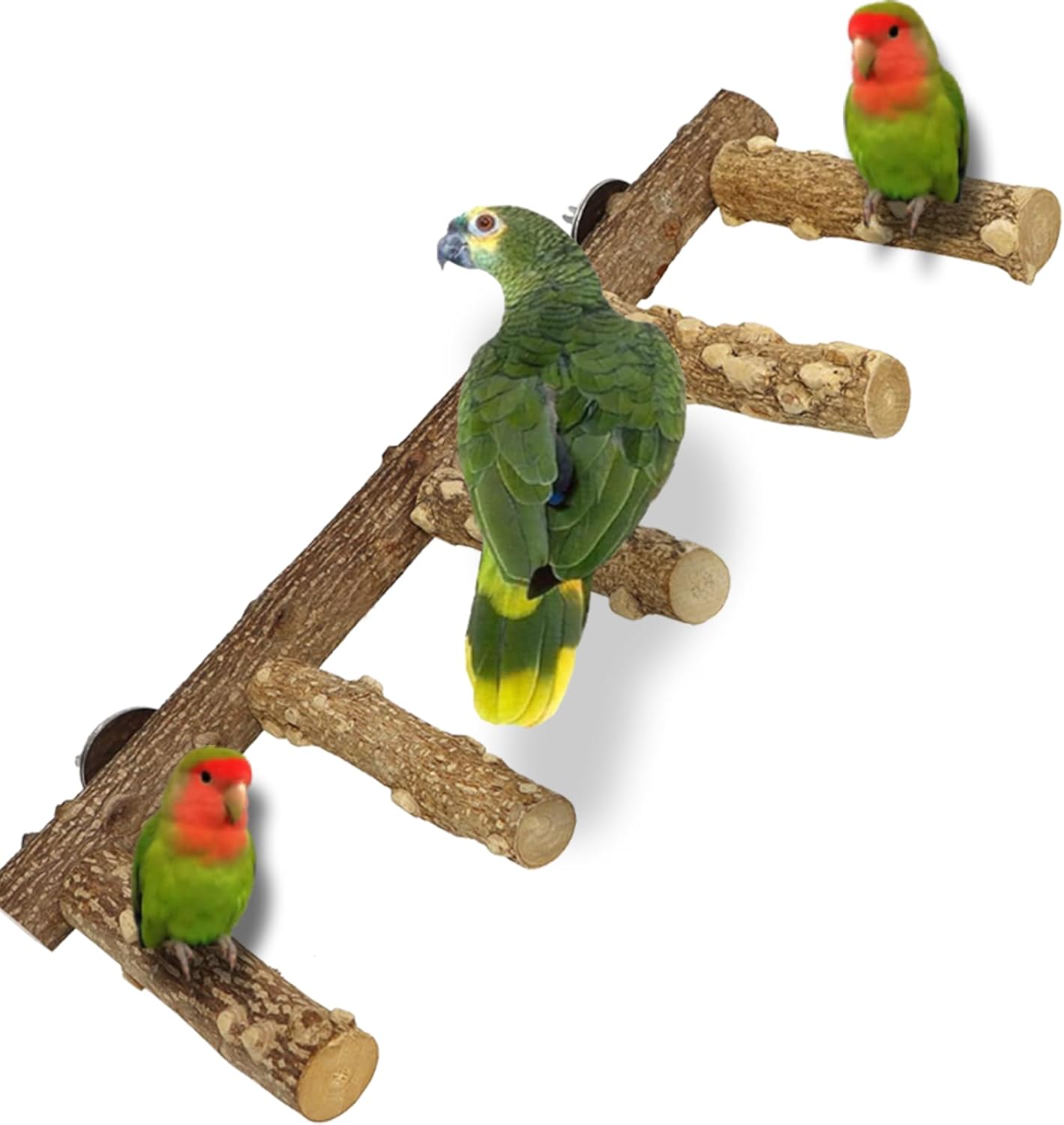 QeeHeng Parrot Perch, Natural Wood Bird Perch Stepped Bird Stand Budgie ...