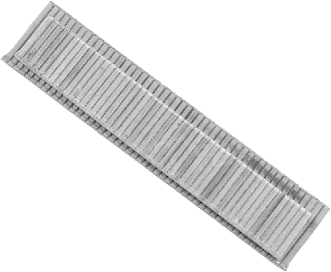 Tree-on-Life 1000Pcs F10 Staples 10mm Length Rustproof Nails For ...