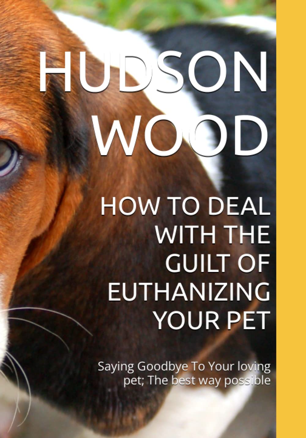 HOW TO DEAL WITH THE GUILT OF EUTHANIZING YOUR PET: Saying Goodbye To ...