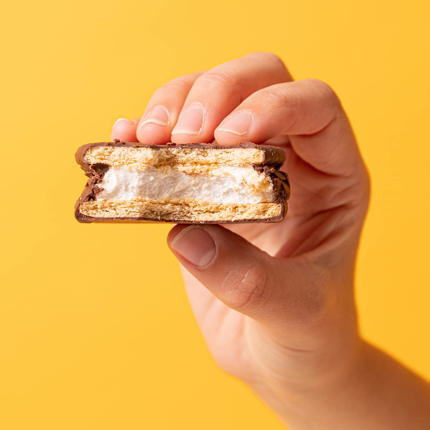 Snapklik.com : Frito Lay Sabritas And Gamesa Variety Pack