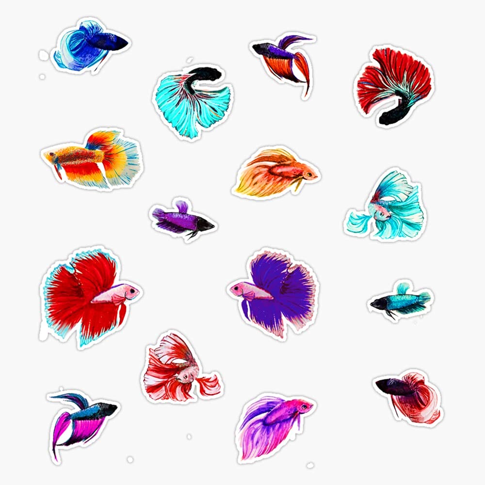 Amazon.com - Betta Buddies Sticker Pack Sticker Sticker Decal Bumper ...