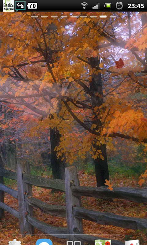 The Autumn Fall Leaves Live Wallpaper:Amazon.com:Appstore for Android