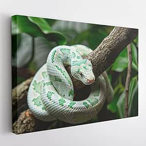 Amazon.com: B83-Canvas Print Wall Art-Snake Python on Tree Animals ...