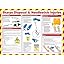 Safety First Aid Group Sharps Disposal and Needle Stick Injuries Poster ...