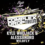 【発売日：2017年05月08日】・製造元:Complex Drop Records