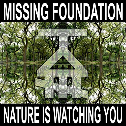 Amazon.com: Nature Is Watching You : Missing Foundation: Digital Music
