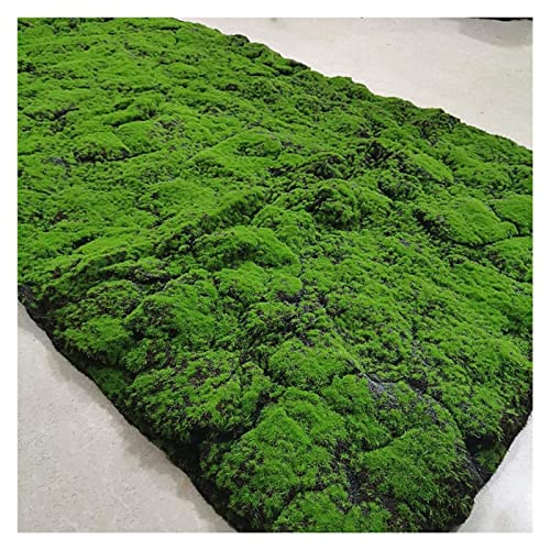 Faux Moss Carpet at Edward Varley blog
