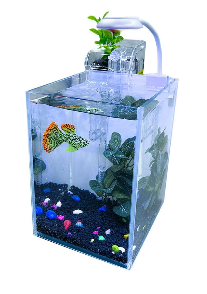 Ultra Clear Crystal Glass Betta Fish Tank 1.2 Gal. Small Nano Aquarium ...