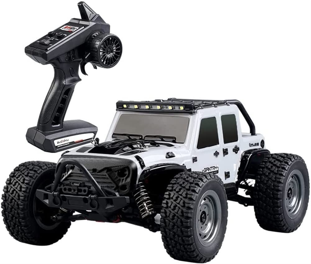 Buy Biiiouu 1/16 Full Scale RC Car 2.4Ghz Wireless Electric Short ...
