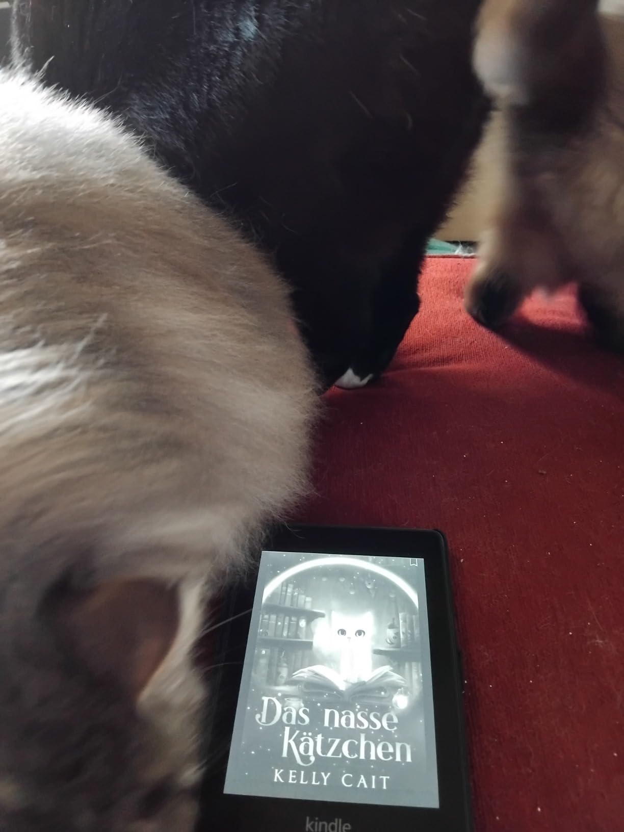 Das nasse Kätzchen: Das Ipswich-Ereignis 1 (Hörbuch-Download): Kelly ...