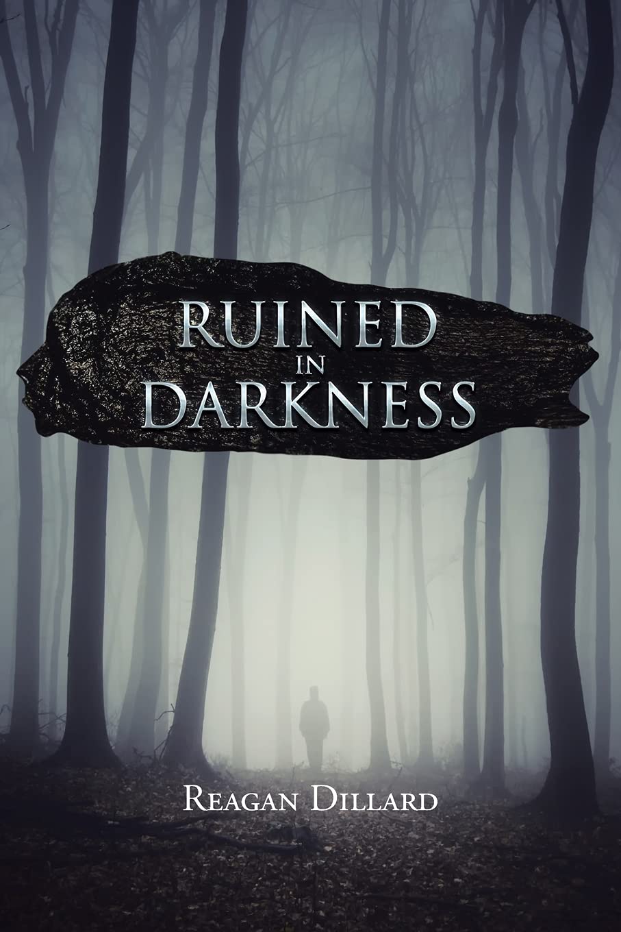 Ruined in Darkness: Reagan Dillard: 9781662434198: Amazon.com: Books