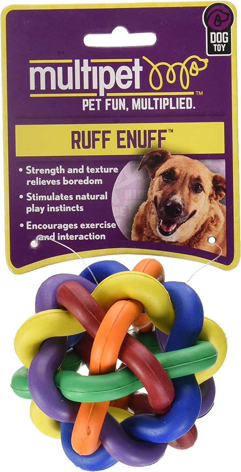 Why Is My Dog Wobbly And Throwing Up