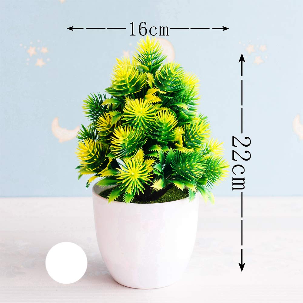 Echte Potplant