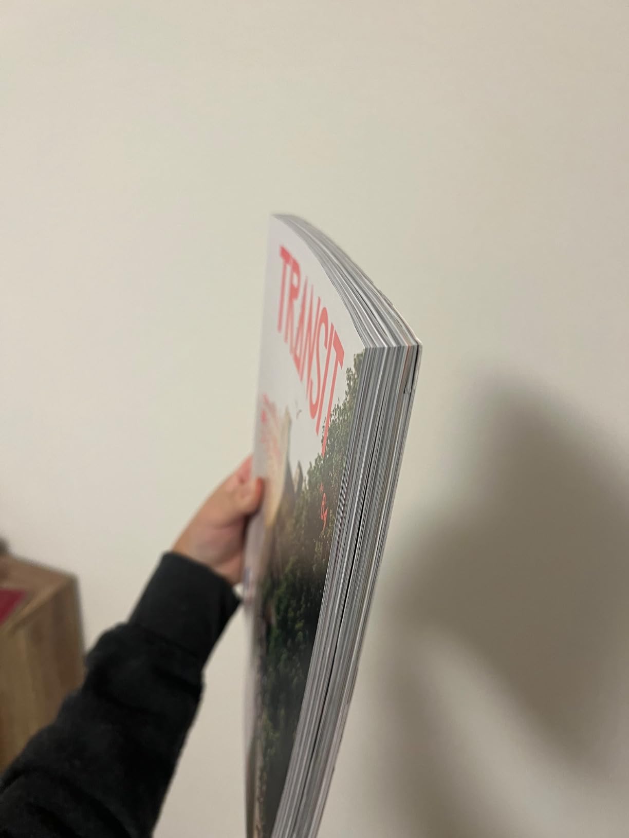 TRANSIT 64号 新しい風吹くフランスへ (講談社 Mook(J)) | ユーフォリアファクトリー |本 | 通販 | Amazon