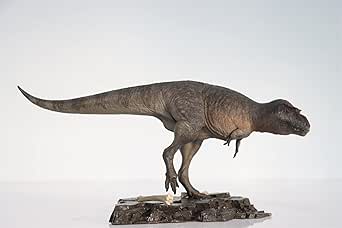 Amazon.co.jp: BACALYSO | AOKHAN 1/35 Size Albert Saurus Dinosaur Figure ...