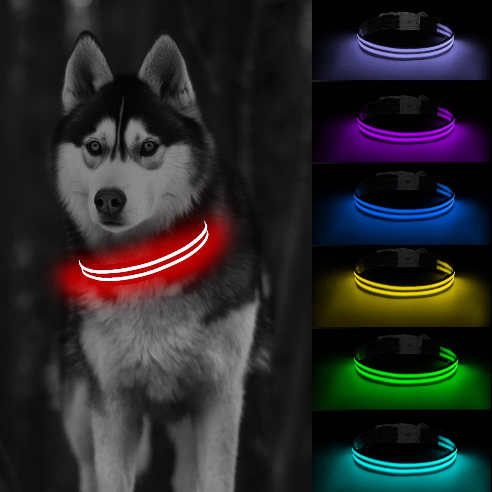 Amazon.com : LED Dog Collar, Light Up Dog Collar, Lighted Dog Collar ...