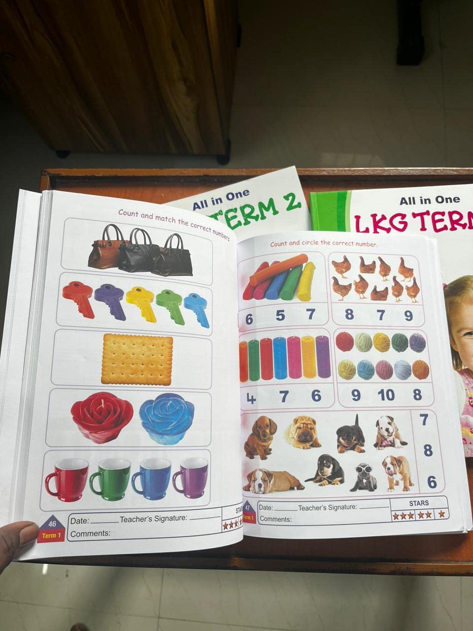 Buy All in One LKG Book| Set of 3 Terms Book with 3 activities book ...