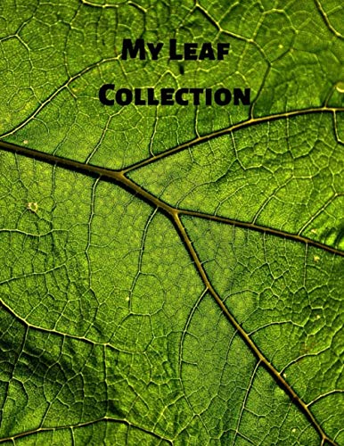 My Leaf Collection: Activity Book for Adults and Kids of All Ages in 8. ...