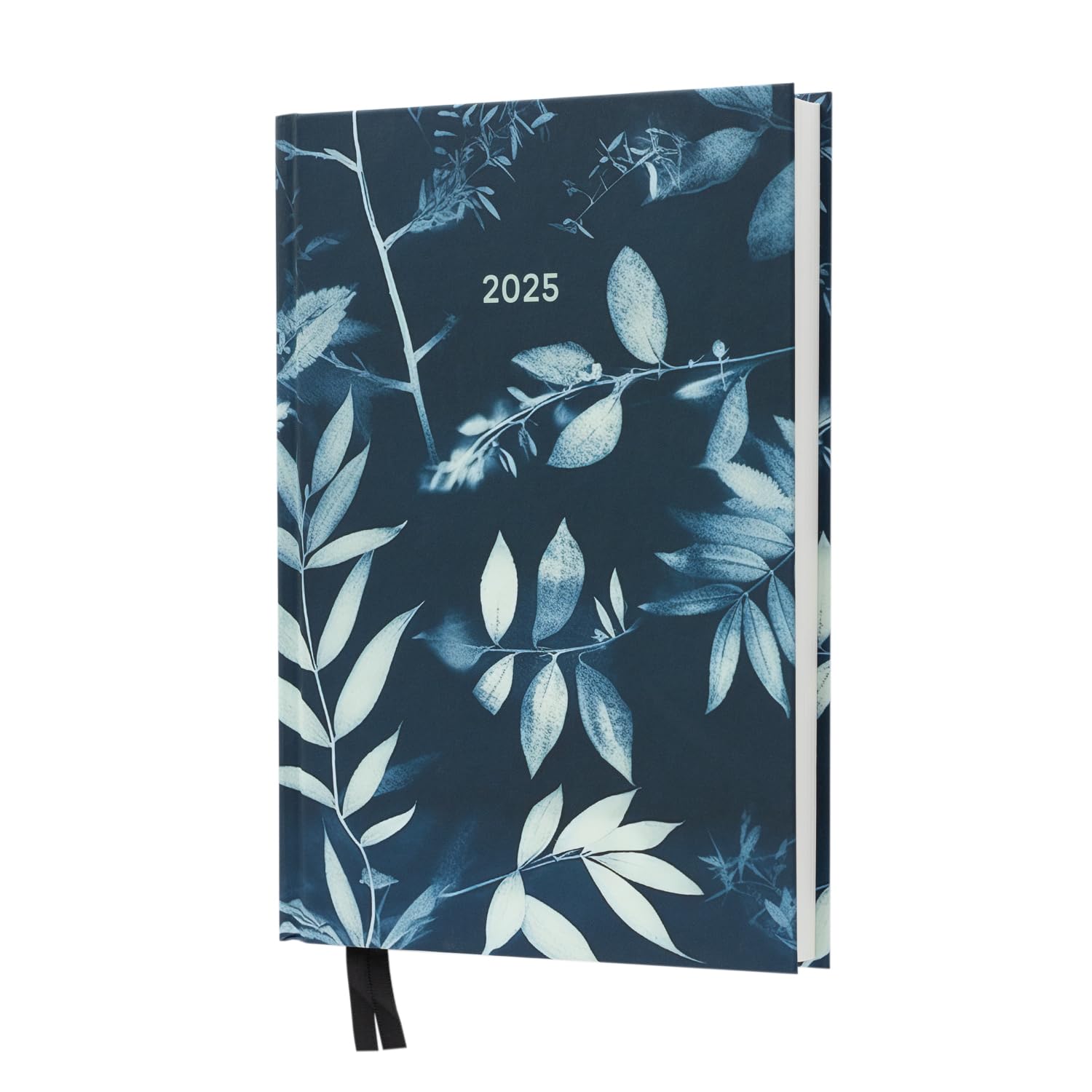 Kokonote Diary 2025 A5 Two Days Per Page – Prussian Blue | January 2025 ...