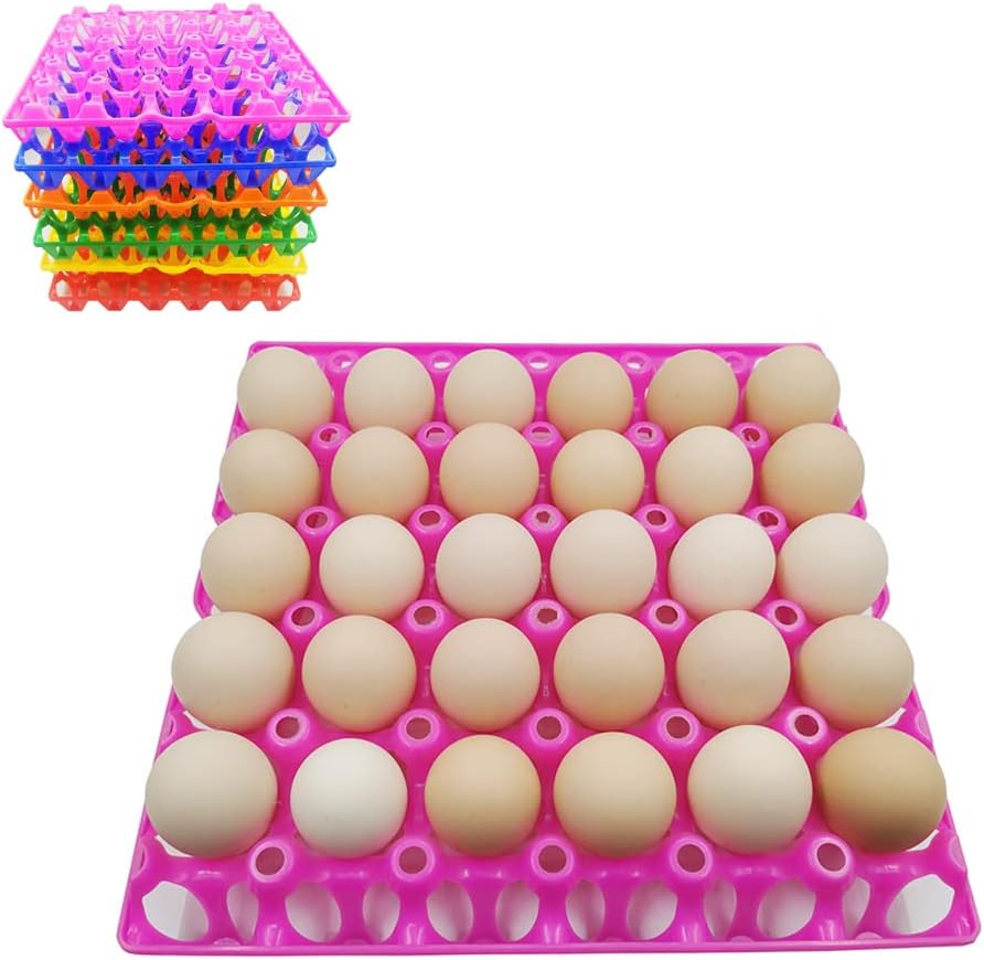 Amazon.com: QIQIRO 6-Pack Farm Products Chicken Plastic Egg Trays Egg ...