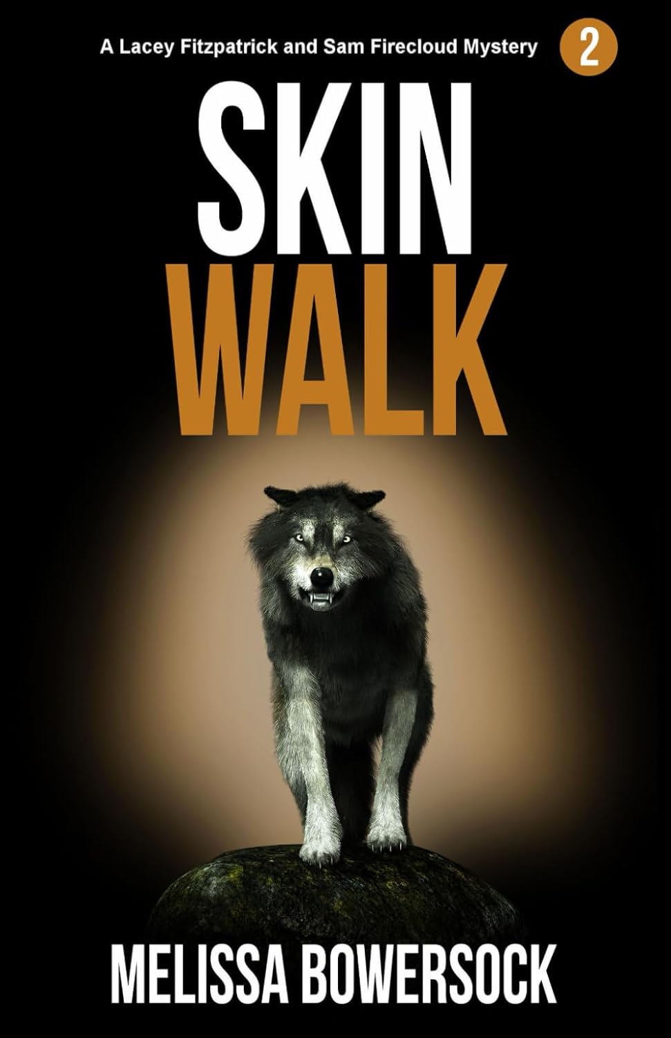 Amazon.com: Skin Walk (A Lacey Fitzpatrick and Sam Firecloud Mystery ...