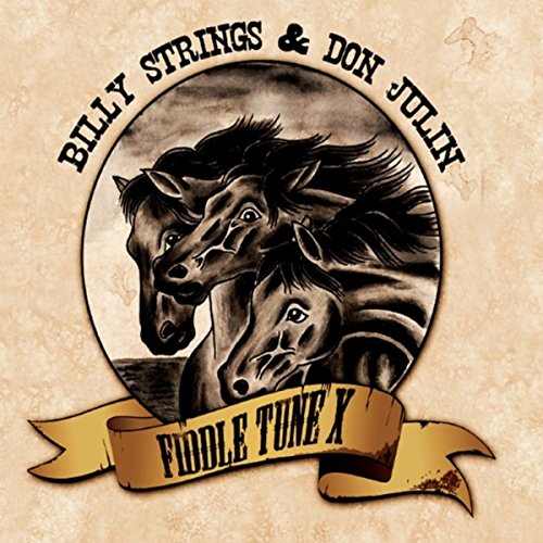 Amazon.com: Fiddle Tune X : Billy Strings & Don Julin: Digital Music