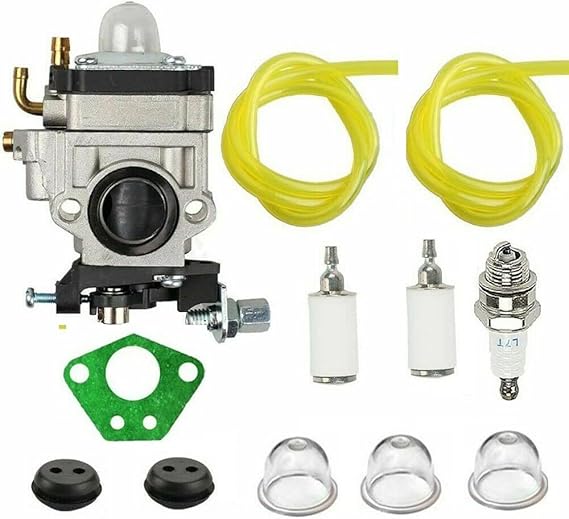 Amazon.com: BEIYIPARTS Carburetor for Robin EC028 EC028 GX EC030 EC030 ...