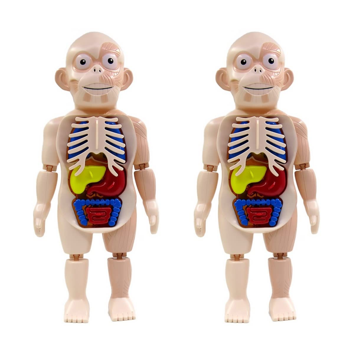 Buy TOYANDONA 2sets Child Kits Toy Human People Models Puzzle Realistic ...